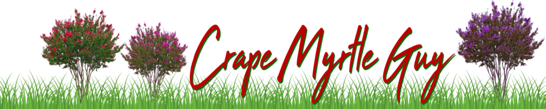 Jobs - Crape Myrtle Guy